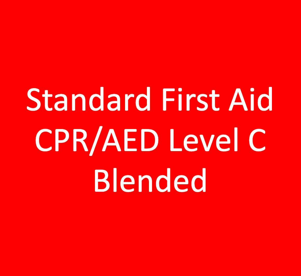 Standard First Aid CPR/AED Level C Blended – Toronto First Aid ...